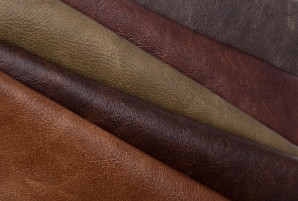 Lilly Kral | The Polmar Group